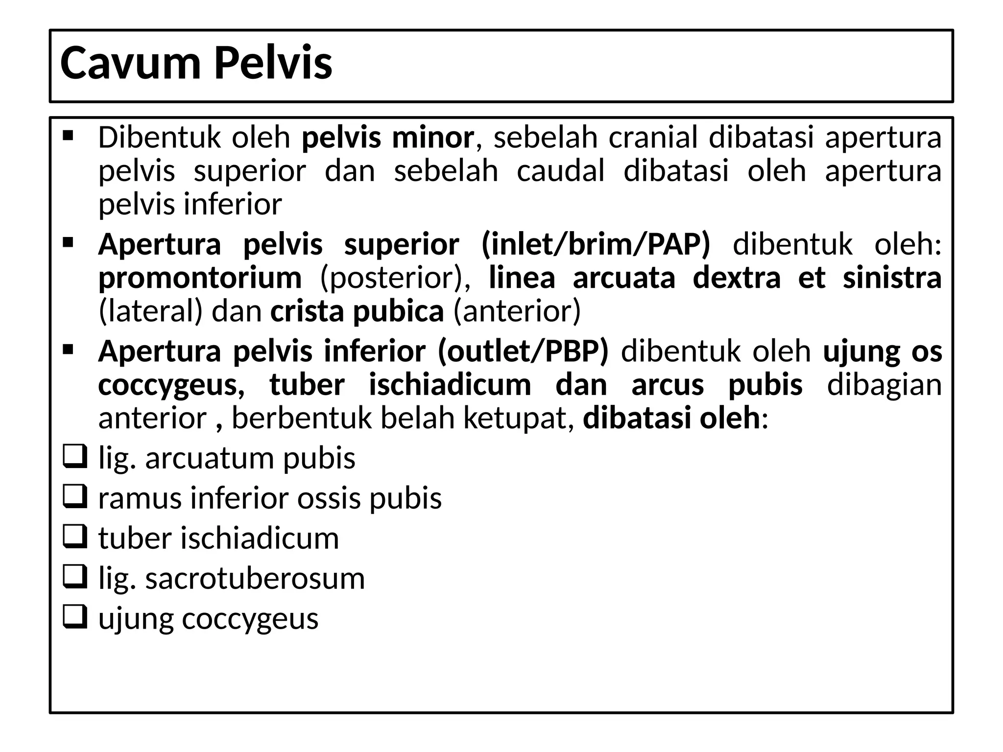 ANATOMI PELVIS ANATOMI PELVIS ANATOMI PELVIS | PPTX