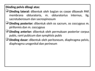 ANATOMI PELVIS ANATOMI PELVIS ANATOMI PELVIS | PPTX