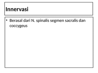 ANATOMI PELVIS ANATOMI PELVIS ANATOMI PELVIS | PPTX