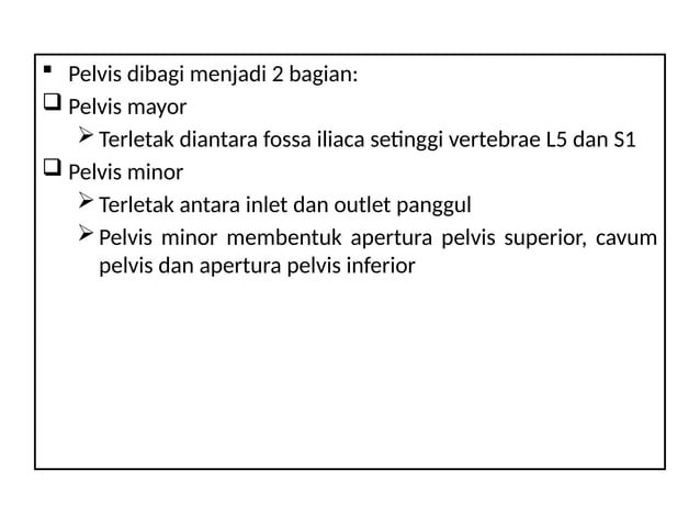 ANATOMI PELVIS ANATOMI PELVIS ANATOMI PELVIS | PPTX