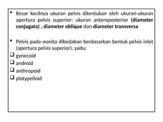 ANATOMI PELVIS ANATOMI PELVIS ANATOMI PELVIS | PPTX