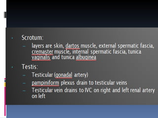 anatomy human pelvic anatomy human pelvic | PPT