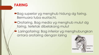 ANATOMI DAN FIDIOLOGI SISTEM PENCERNAAN.pptx