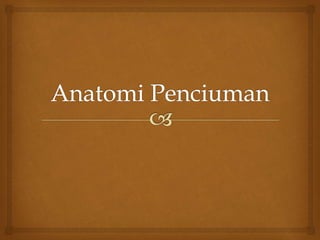 Anatomi penciuman | PPTX