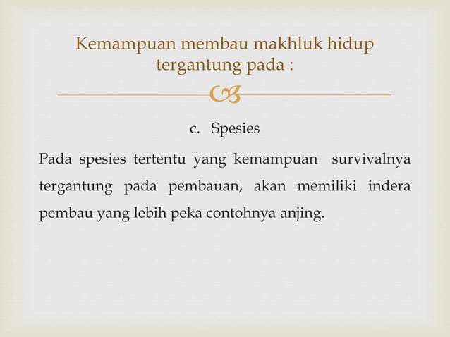 Anatomi penciuman | PPTX