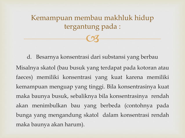 Anatomi penciuman | PPTX