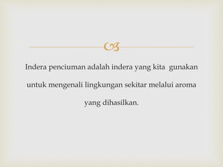 Anatomi penciuman | PPTX