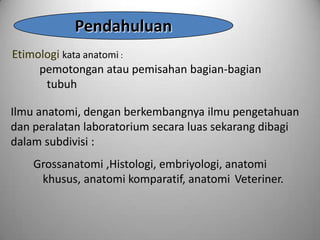 Anatomi pendahuluan | PPTX