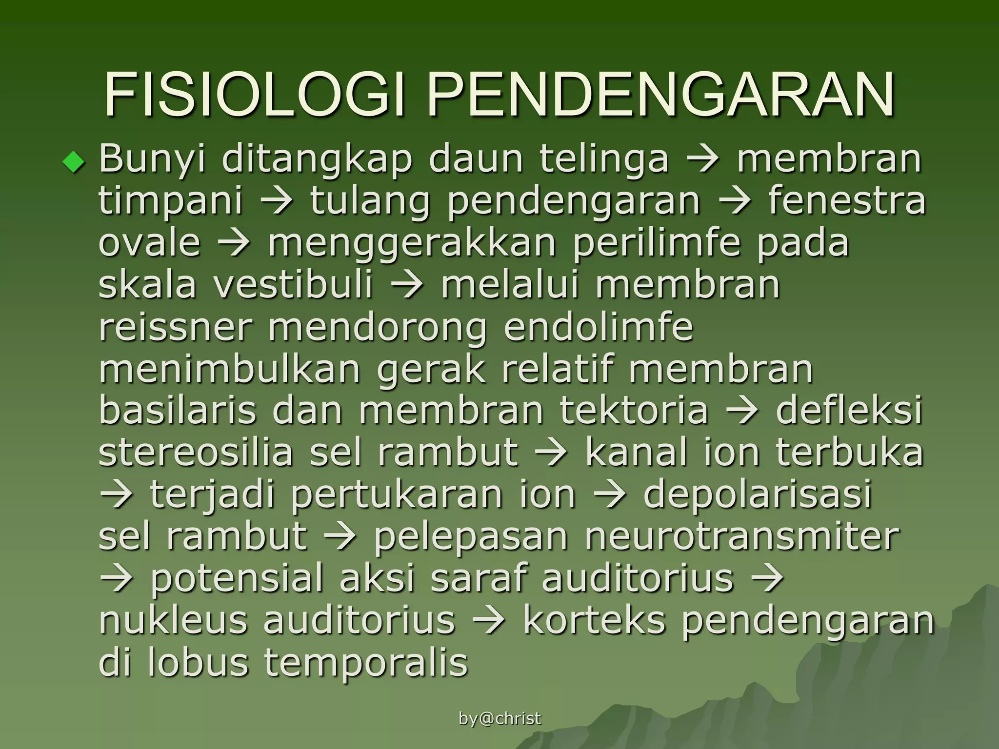 Anatomi pendengaran | PPTX