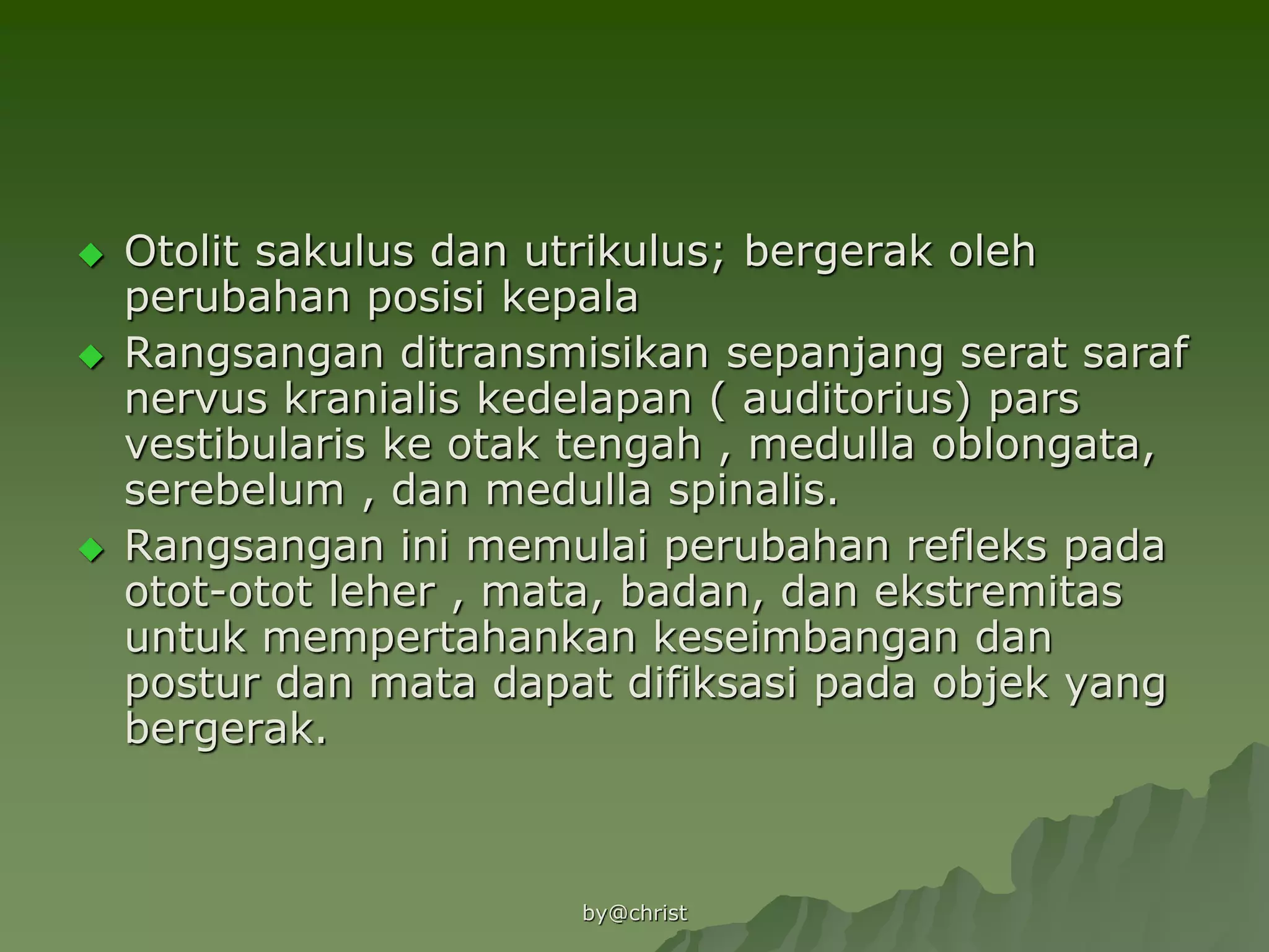 Anatomi pendengaran | PPTX