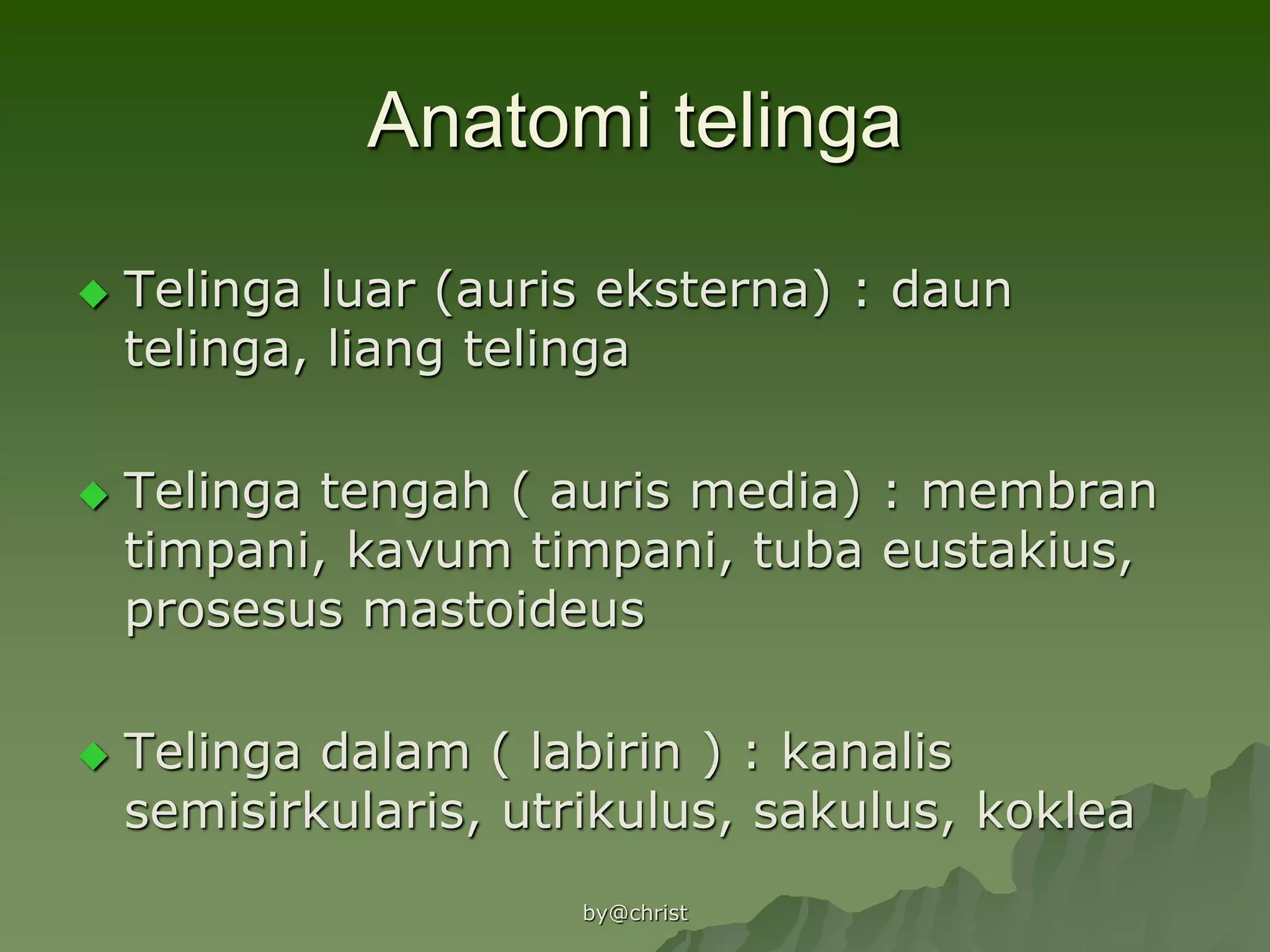 Anatomi pendengaran | PPTX