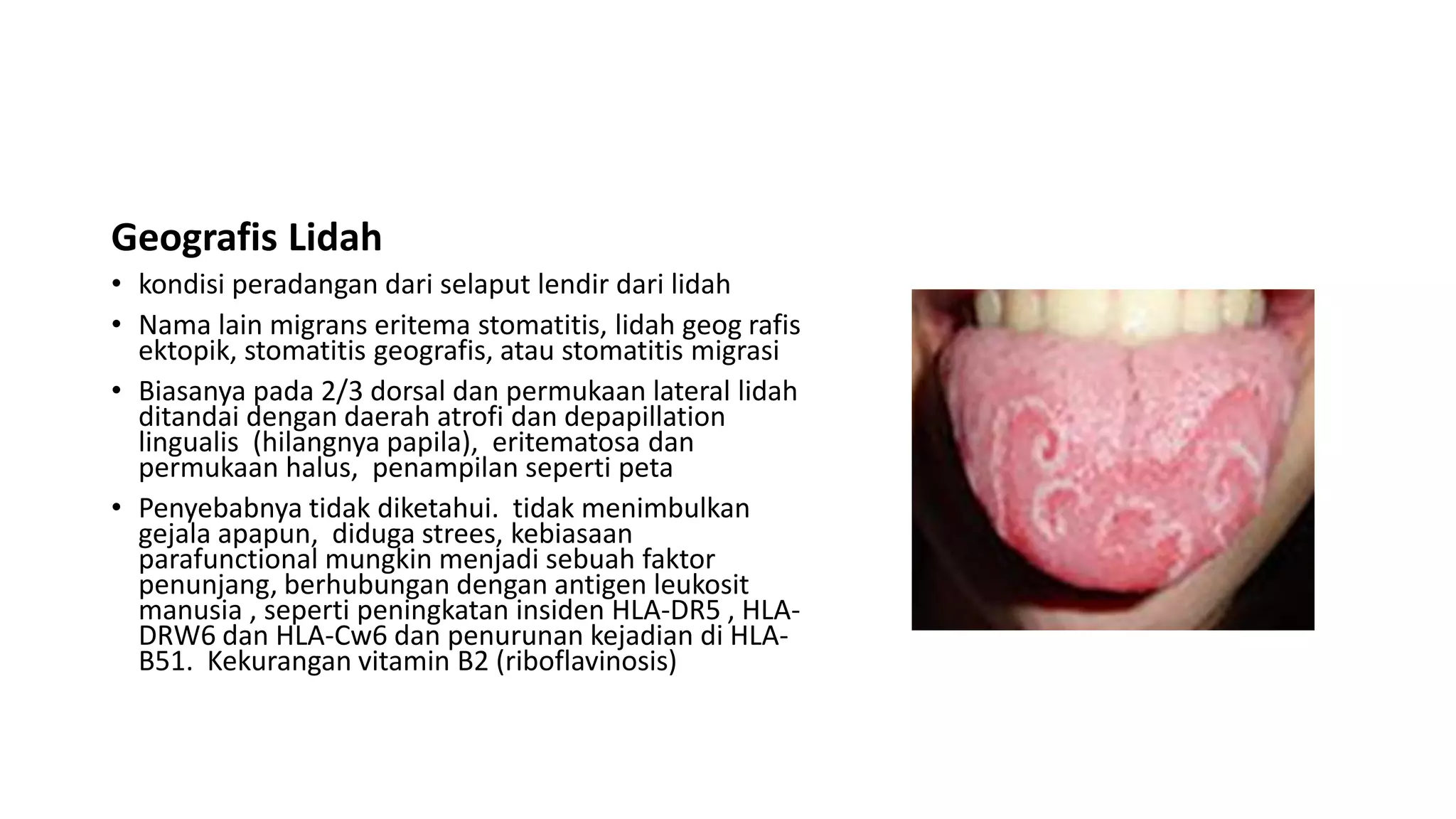 Anatomi pengecapan | PPTX