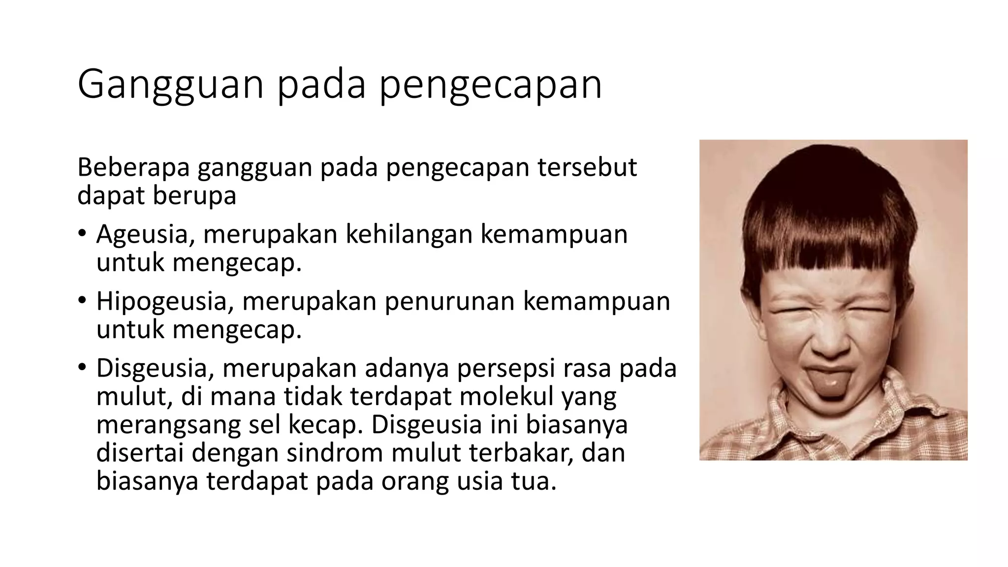 Anatomi pengecapan | PPTX