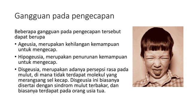 Anatomi pengecapan | PPTX