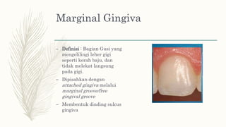Anatomi periodonsium normal | PPTX