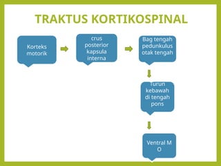Anatomi Perjalanan Traktus Piramidalis.pptx