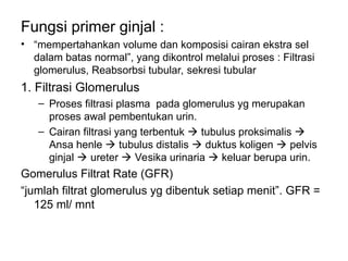 Anatomi PERKEMIHAN[elajarannnnnflklklklf.ppt