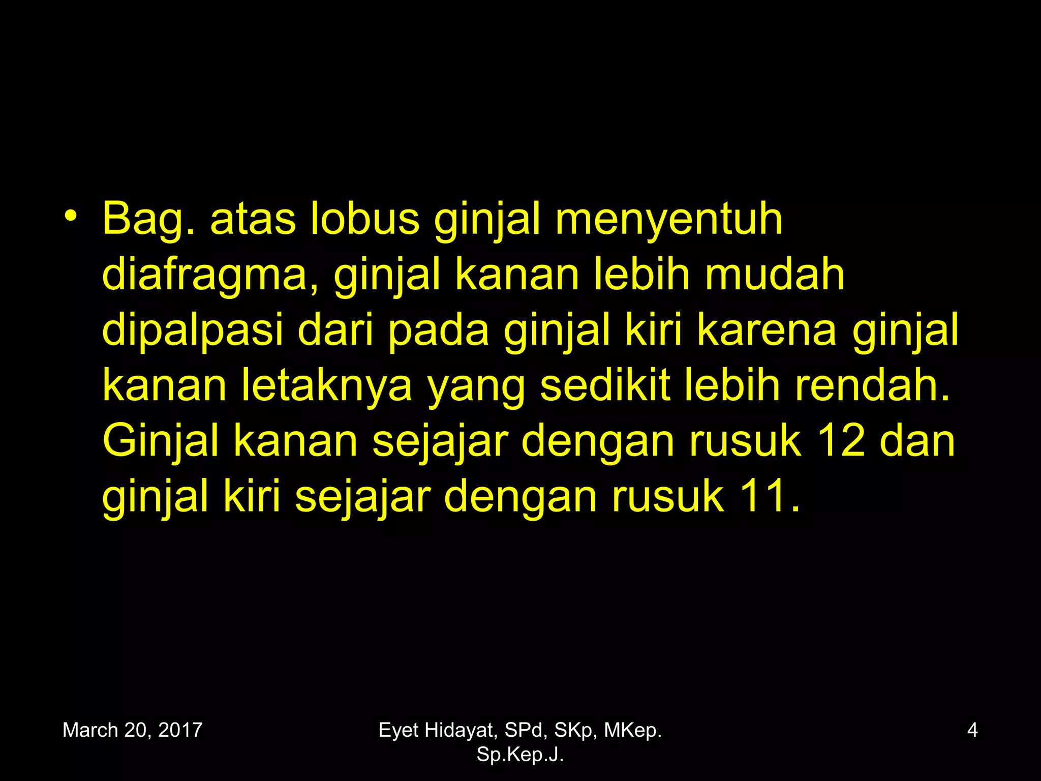 Anatomi Perkemihan | PPT