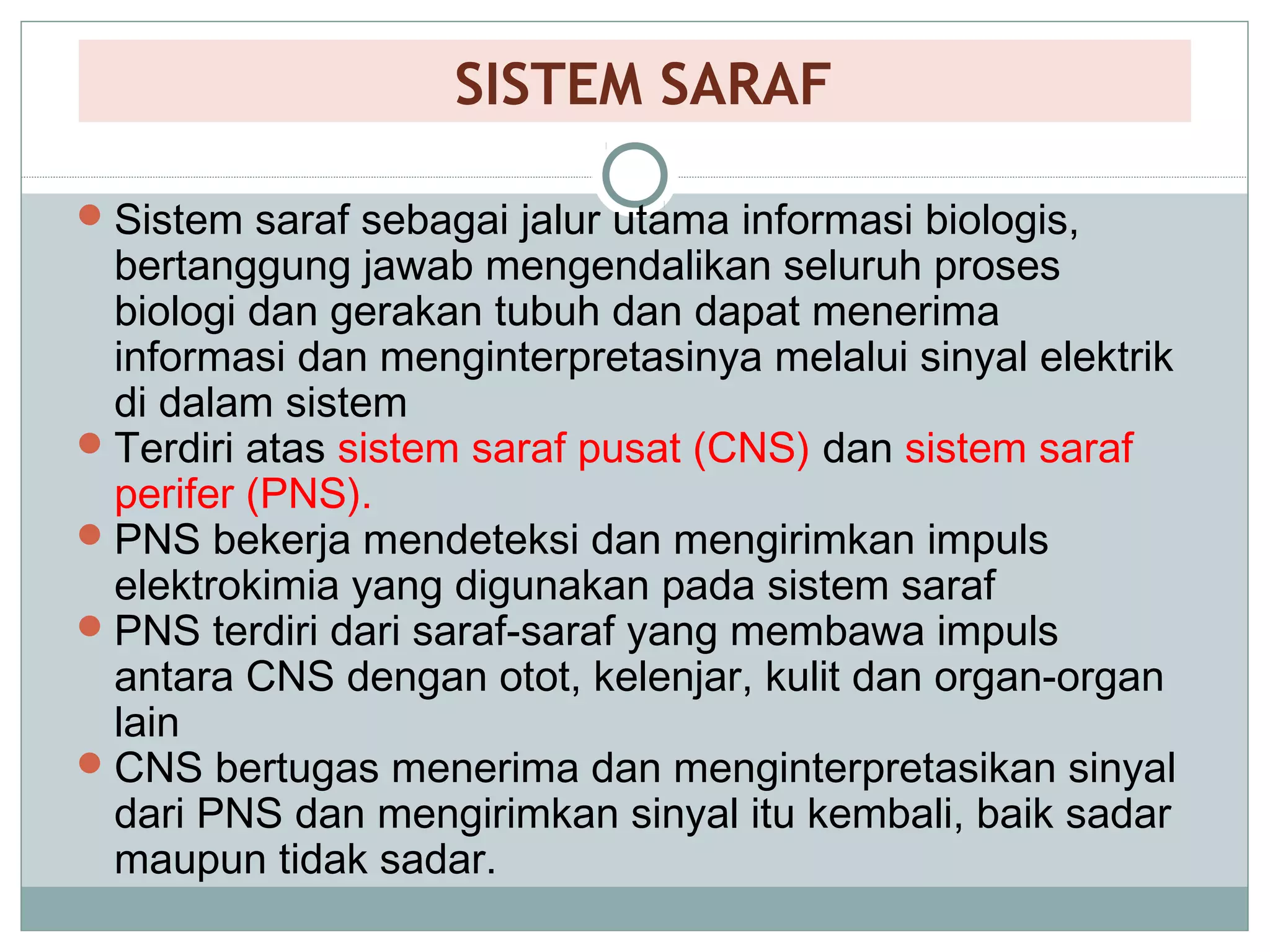 Anatomi persyarafan | PPT