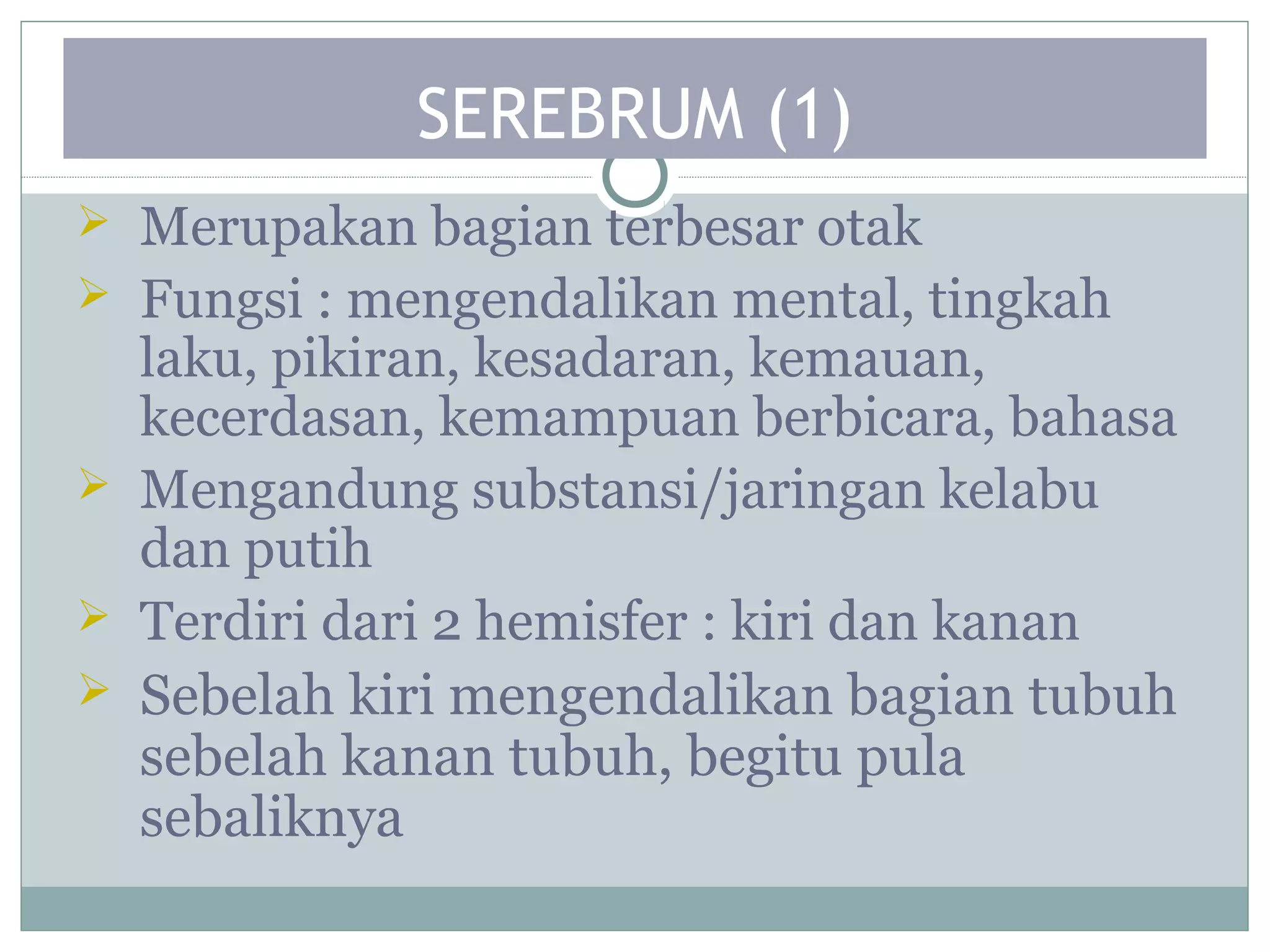 Anatomi persyarafan | PPT