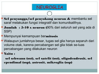 Anatomi persyarafan | PPT