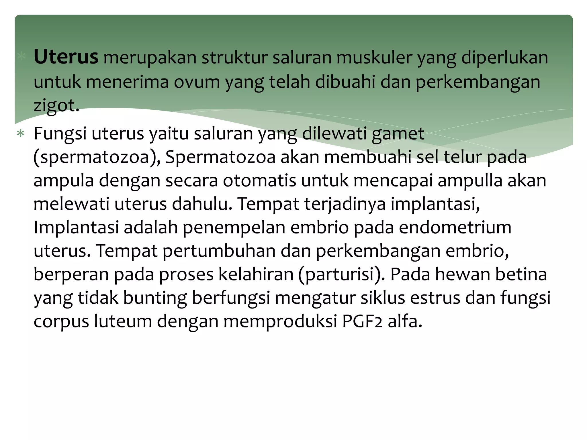 Anatomi reproduksi jantan dan betina pada sapi dan babi | PPTX