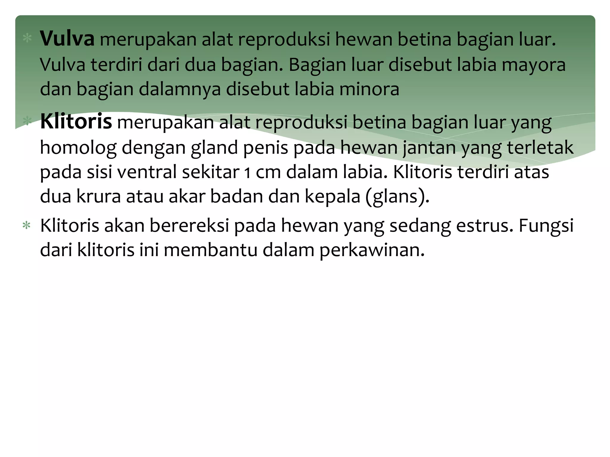 Anatomi reproduksi jantan dan betina pada sapi dan babi | PPTX