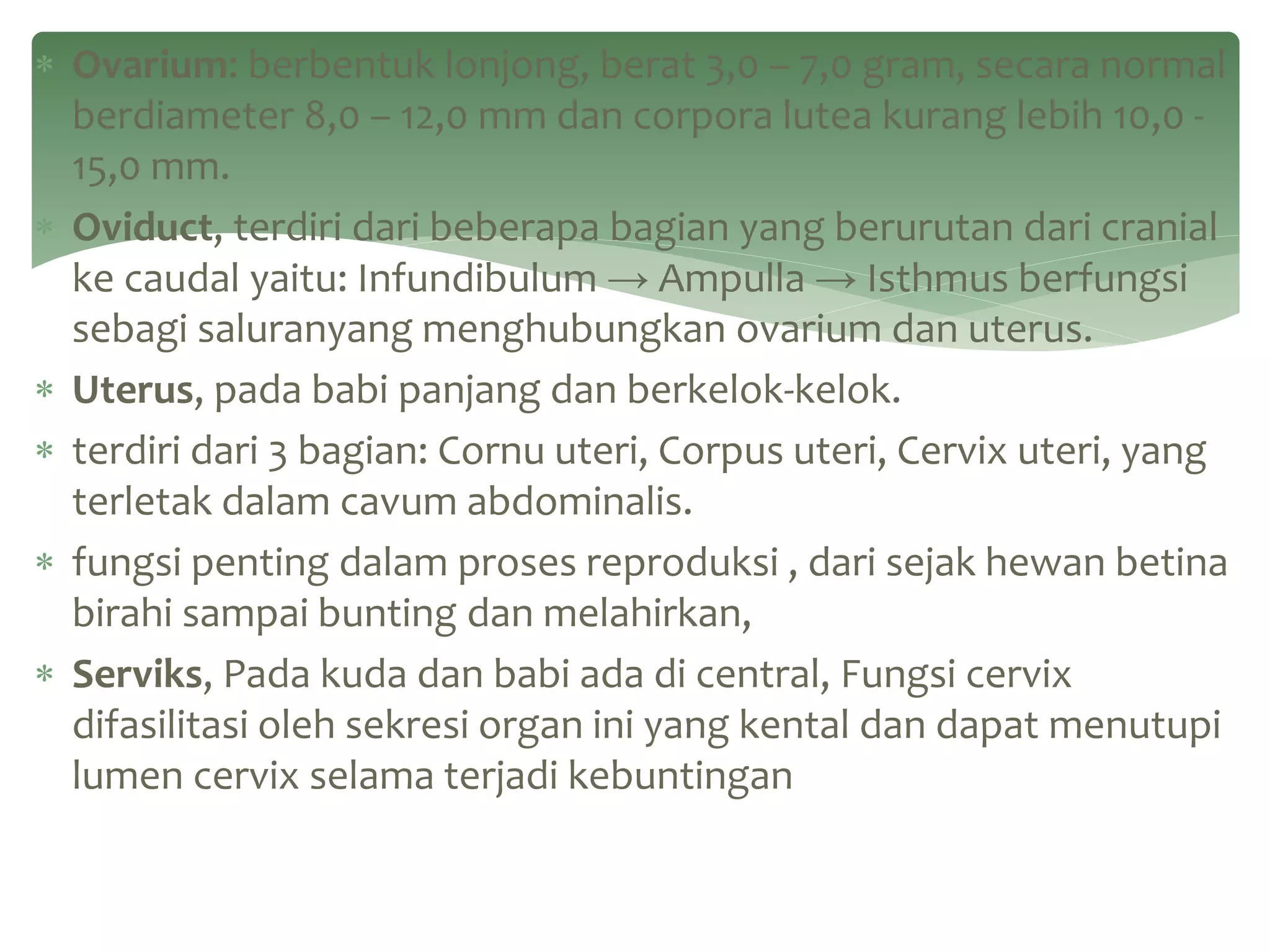 Anatomi reproduksi jantan dan betina pada sapi dan babi | PPTX