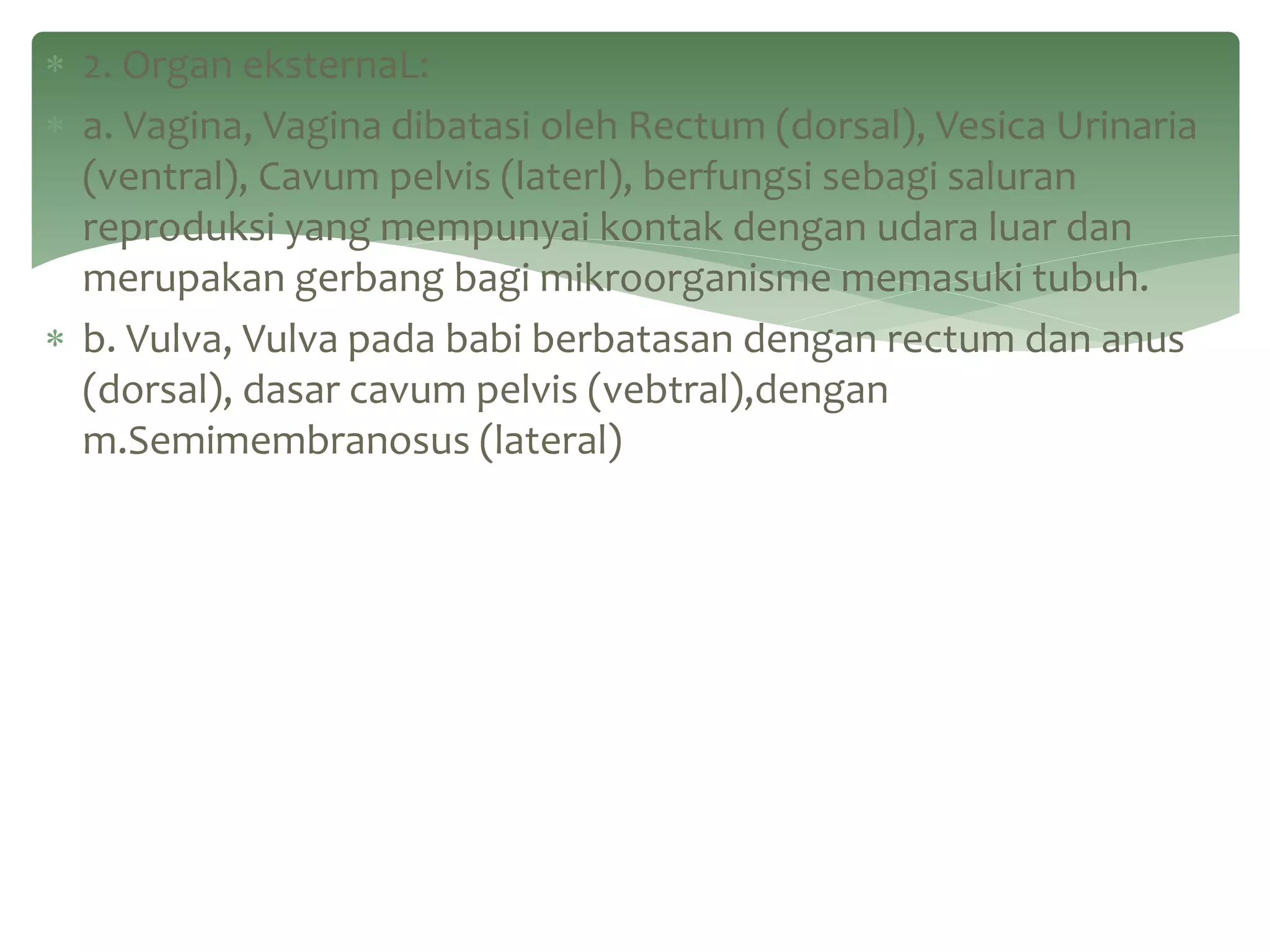 Anatomi reproduksi jantan dan betina pada sapi dan babi | PPTX