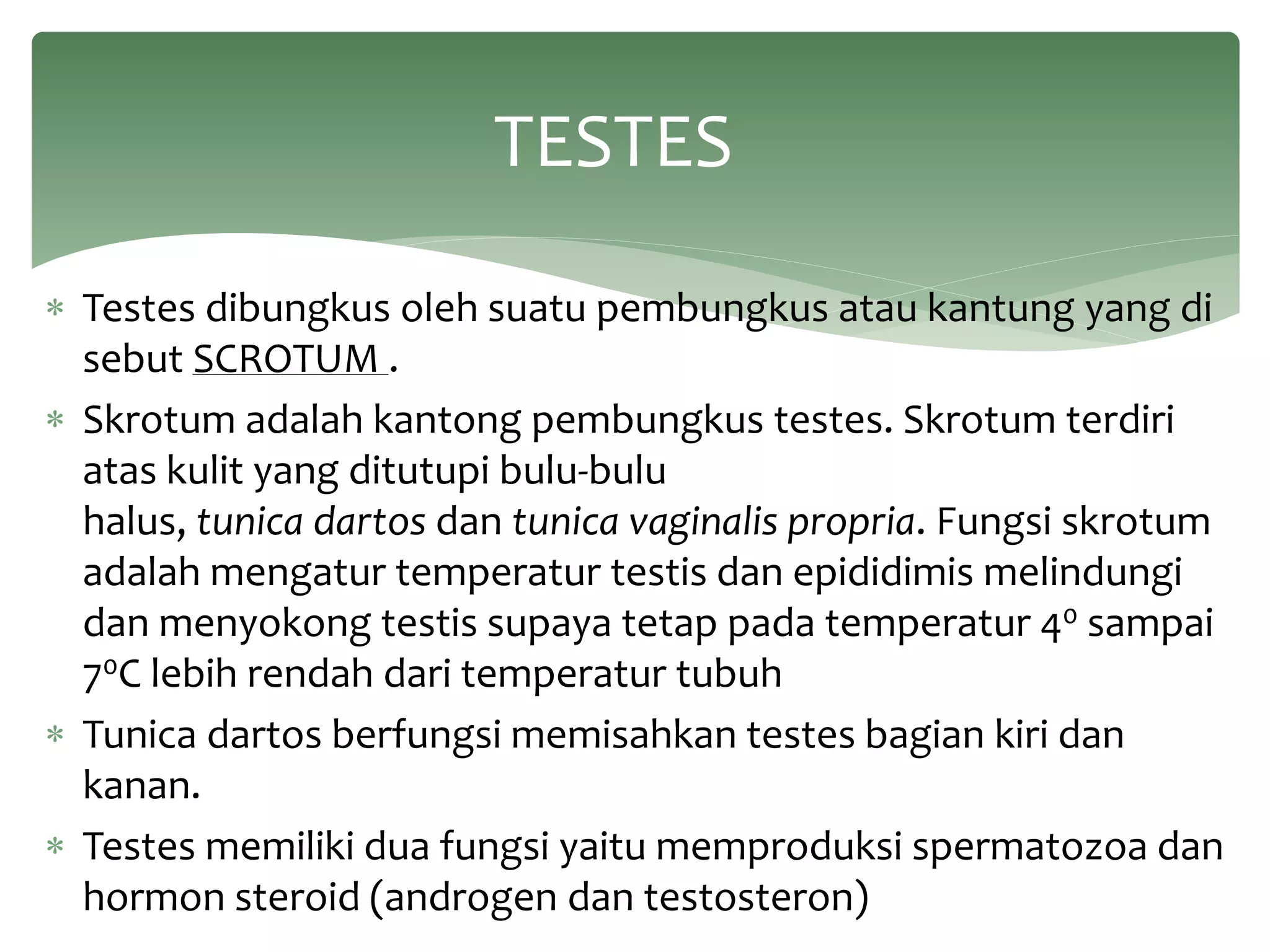 Anatomi reproduksi jantan dan betina pada sapi dan babi | PPTX