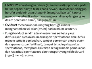 Anatomi reproduksi jantan dan betina pada sapi dan babi | PPTX