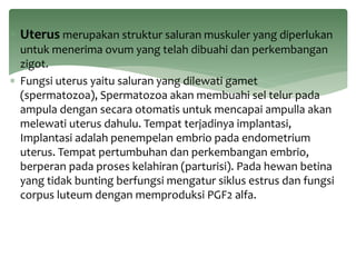 Anatomi reproduksi jantan dan betina pada sapi dan babi | PPTX