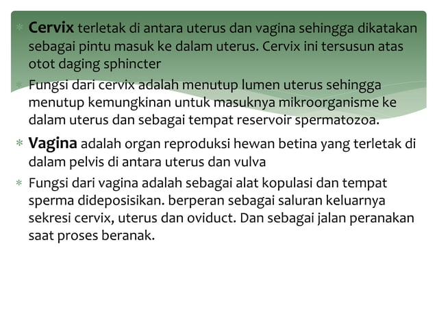 Anatomi reproduksi jantan dan betina pada sapi dan babi | PPTX