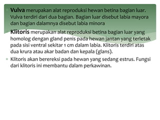 Anatomi reproduksi jantan dan betina pada sapi dan babi | PPTX