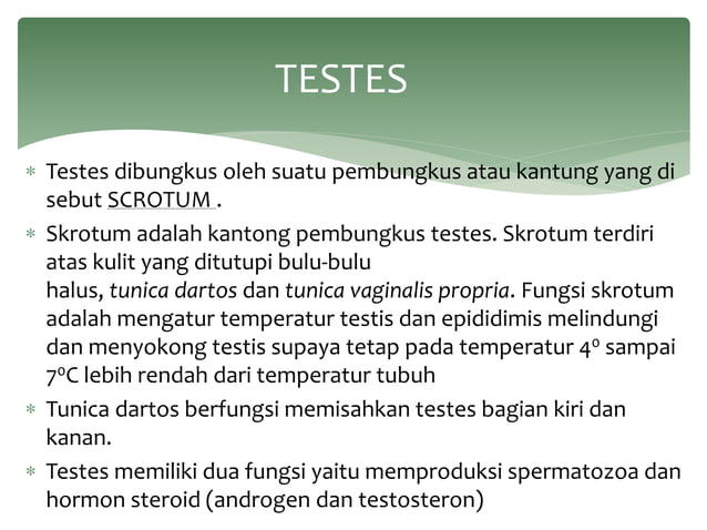 Anatomi reproduksi jantan dan betina pada sapi dan babi | PPTX