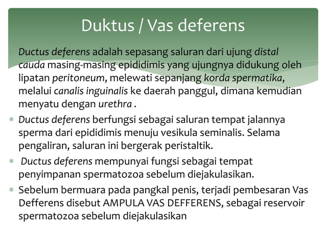 Anatomi reproduksi jantan dan betina pada sapi dan babi | PPTX