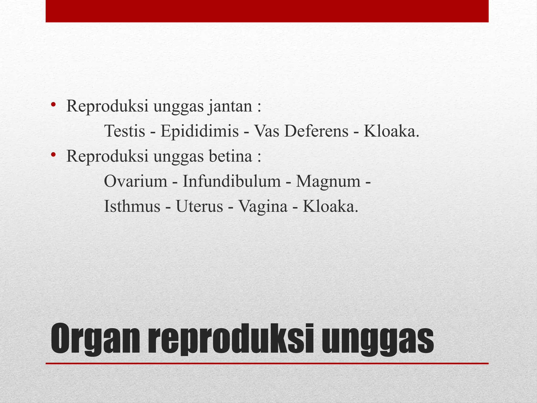 ANATOMI REPRODUKSI TERNAK RUMINANSIA DAN NON RUMINANSIA | PPTX