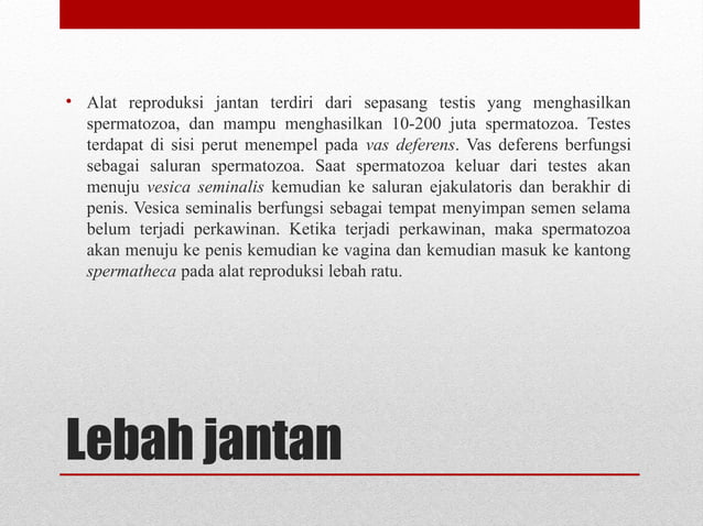 ANATOMI REPRODUKSI TERNAK RUMINANSIA DAN NON RUMINANSIA | PPTX