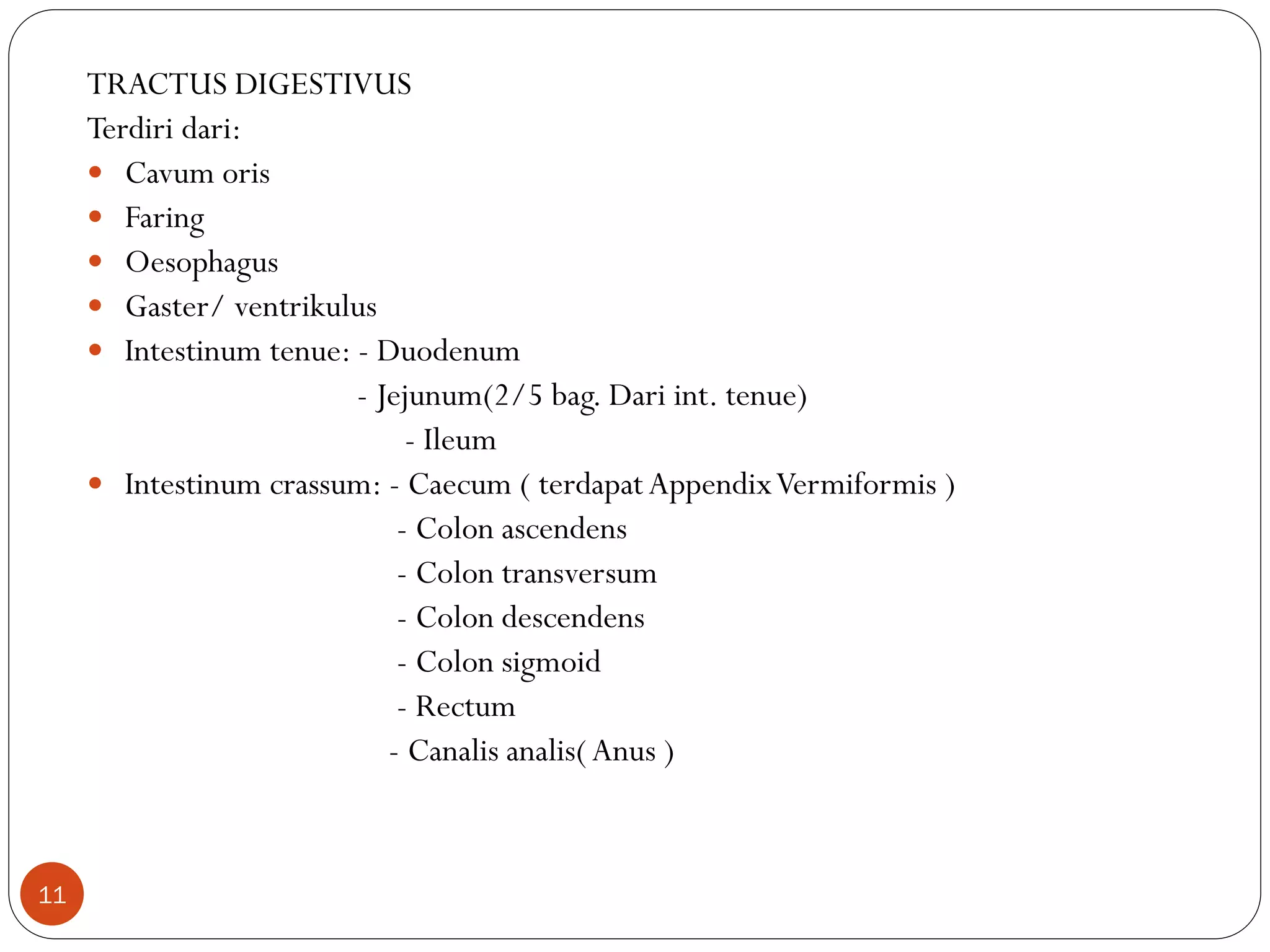 ANATOMI saluran cerna.pdf