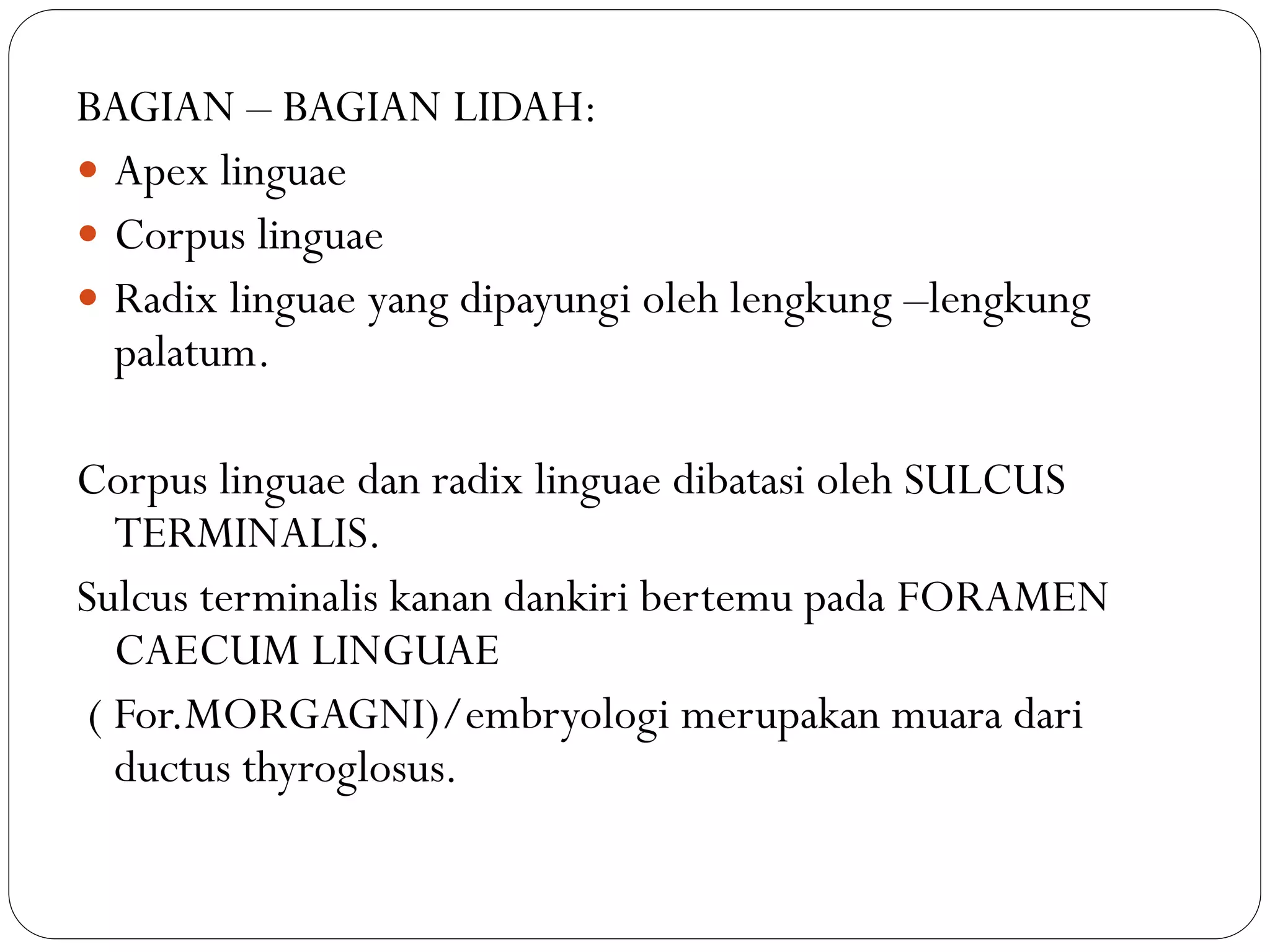 ANATOMI saluran cerna.pdf