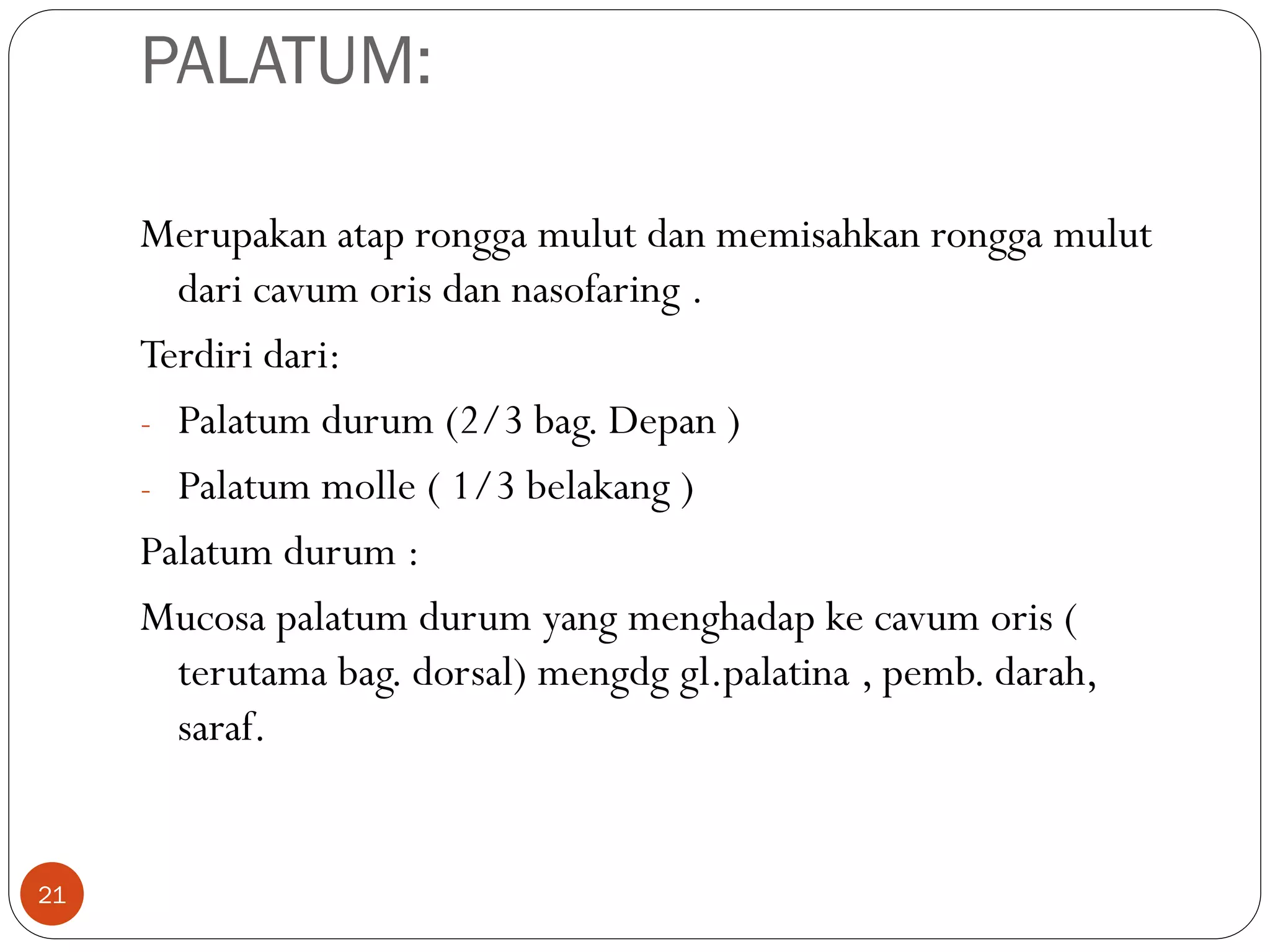 ANATOMI saluran cerna.pdf