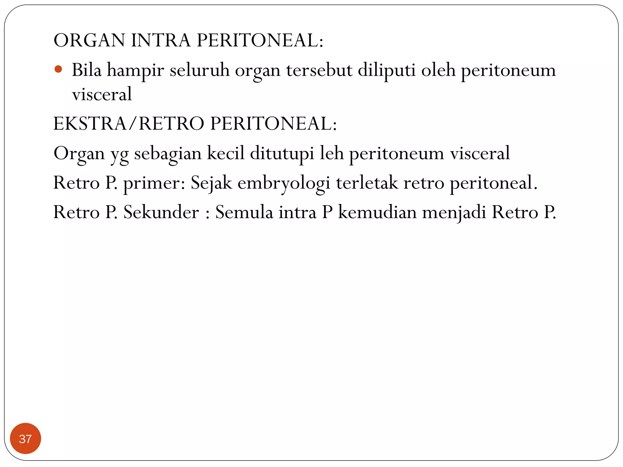 ANATOMI saluran cerna.pdf