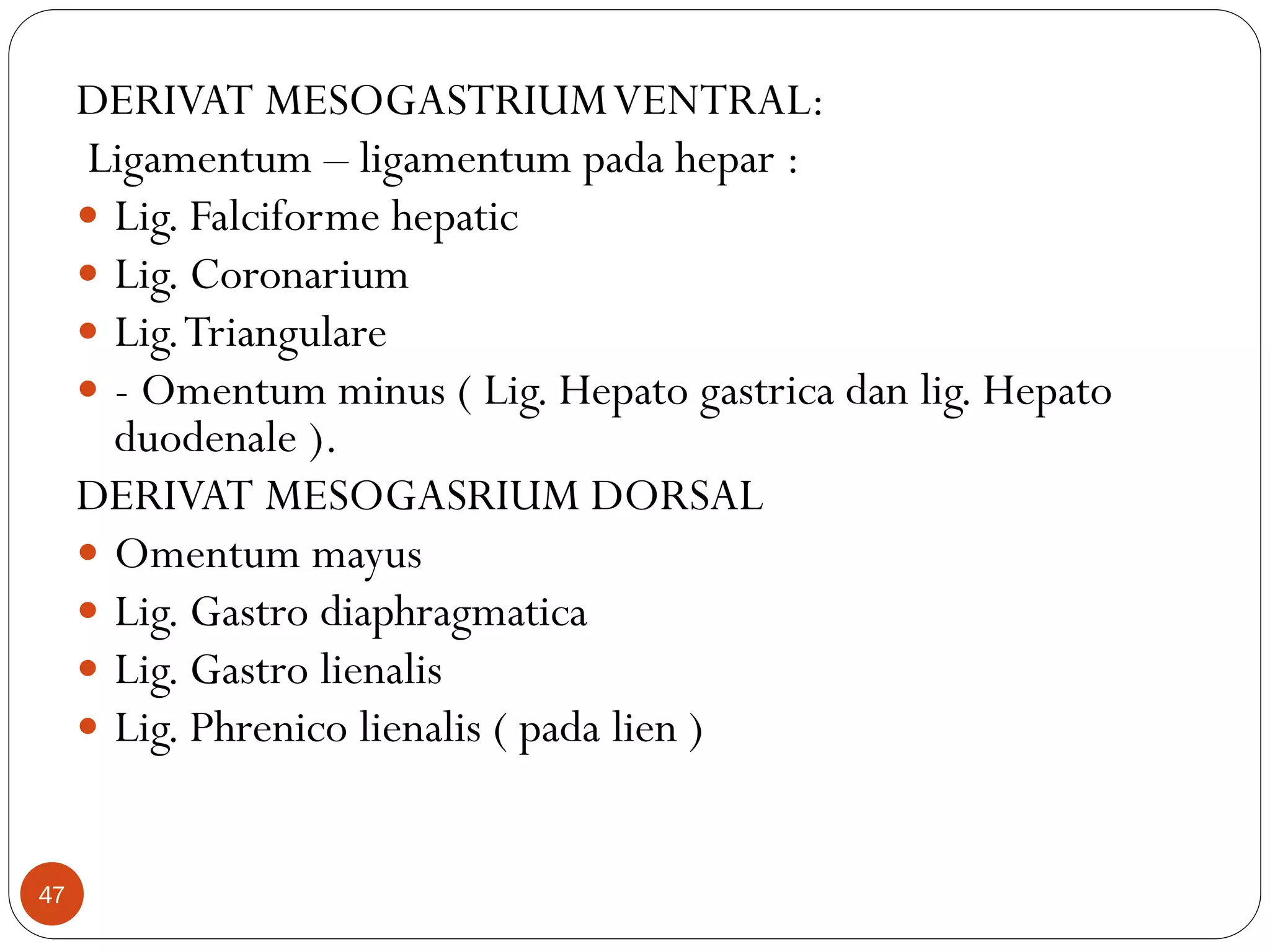 ANATOMI saluran cerna.pdf