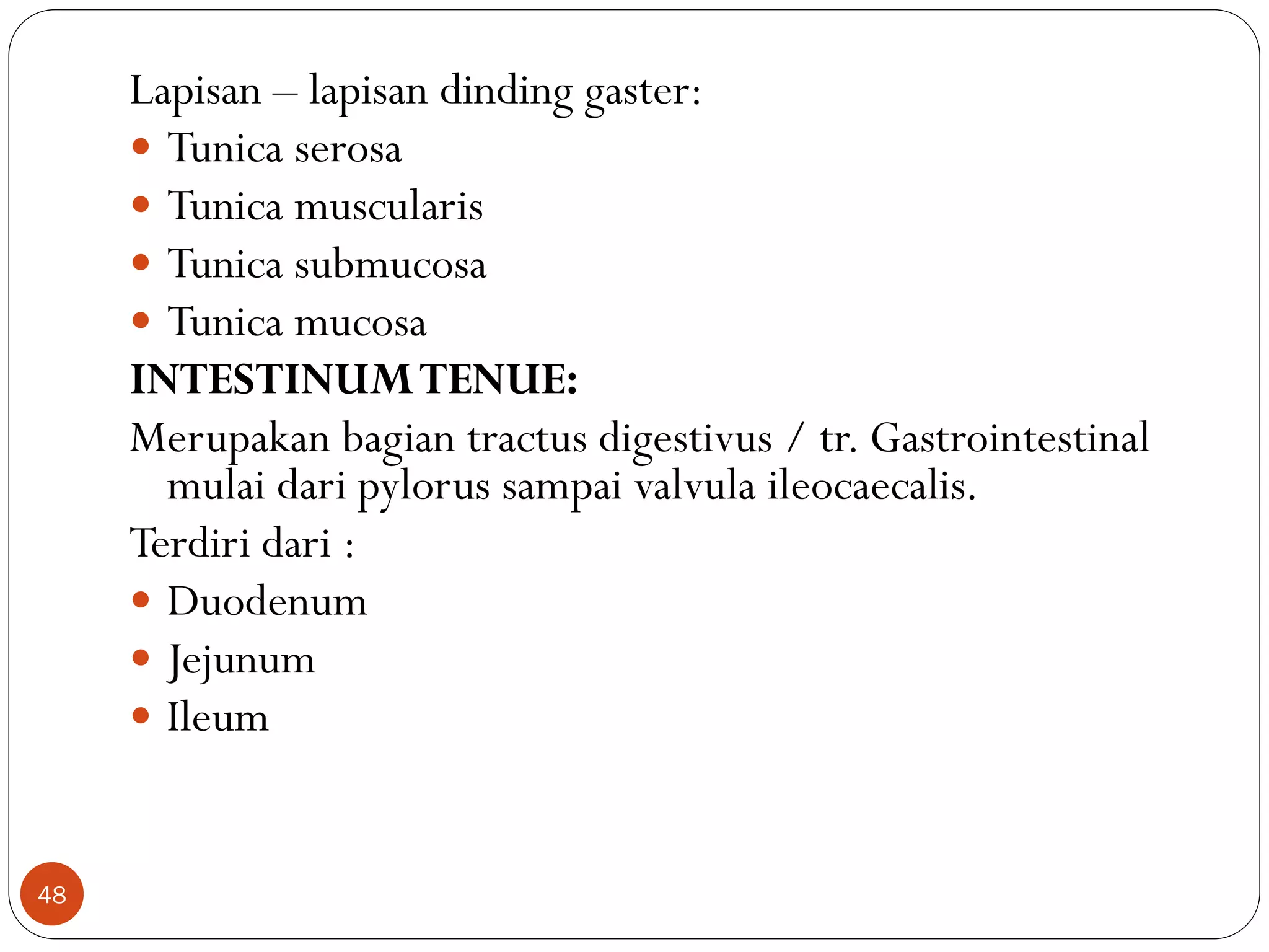 ANATOMI saluran cerna.pdf