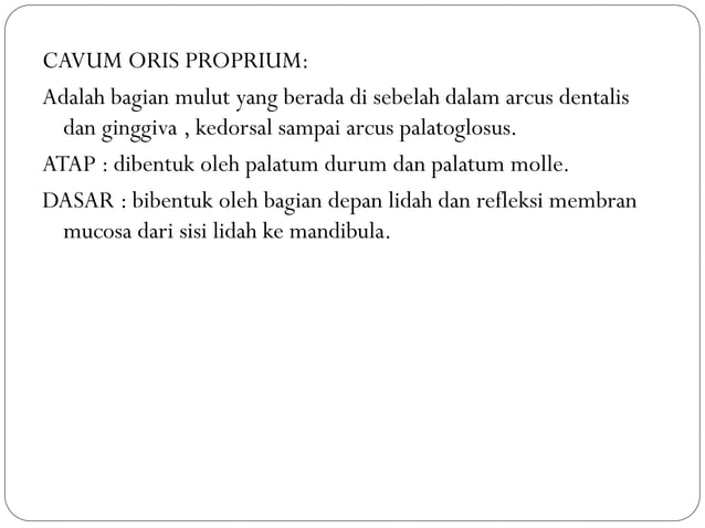 ANATOMI saluran cerna.pdf