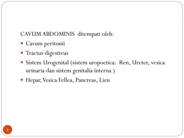 ANATOMI saluran cerna.pdf