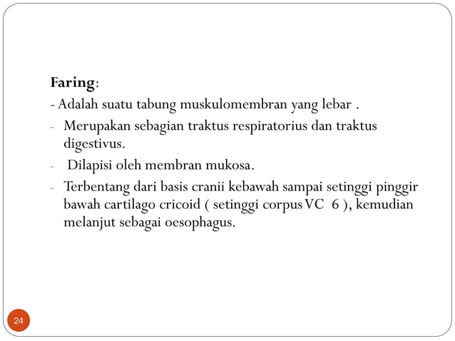 ANATOMI saluran cerna.pdf