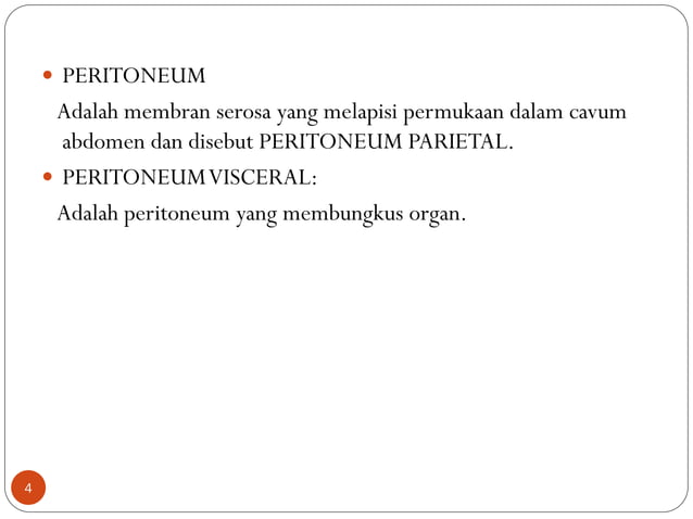 ANATOMI saluran cerna.pdf