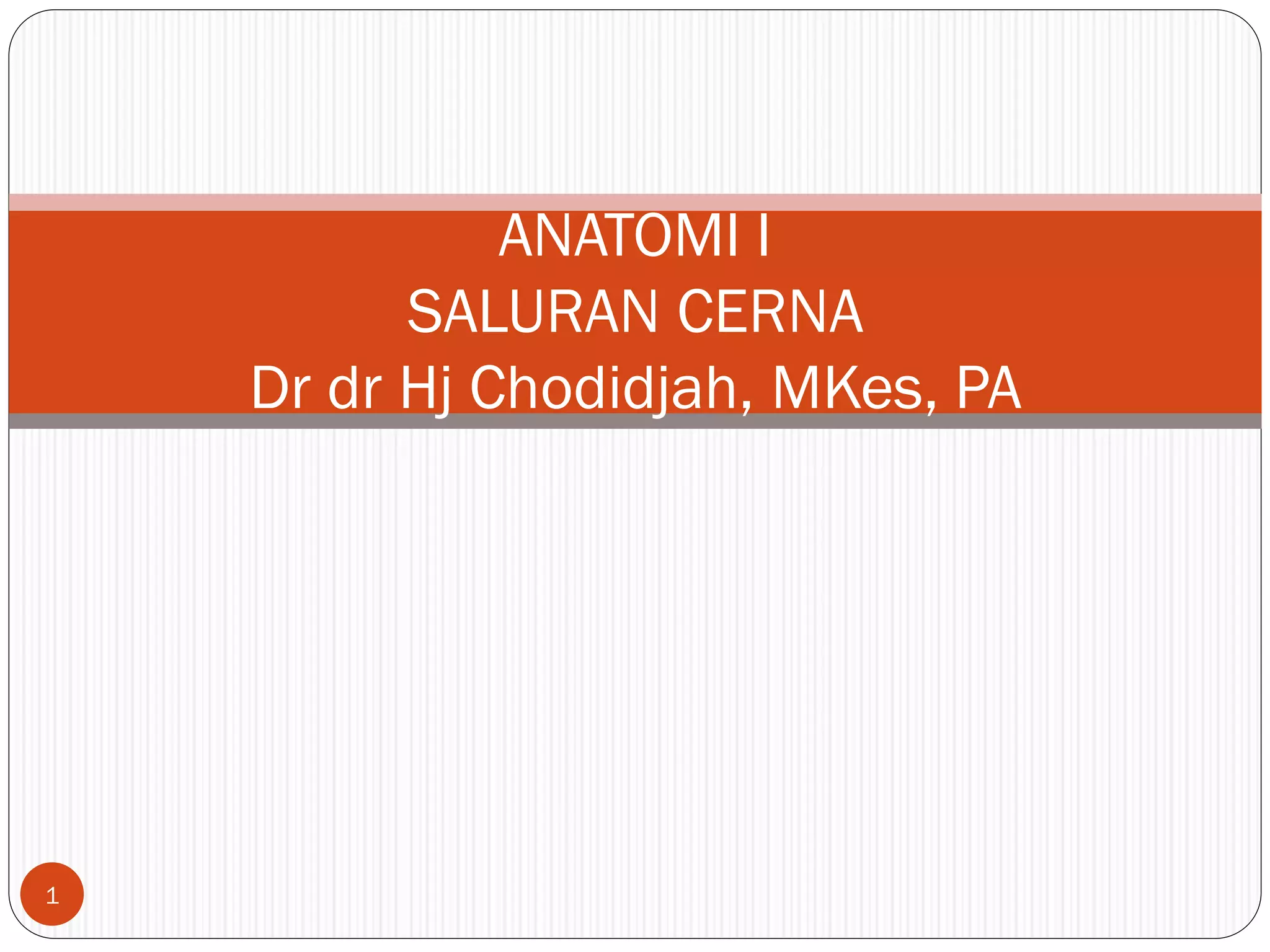 ANATOMI saluran cerna_0.pdf