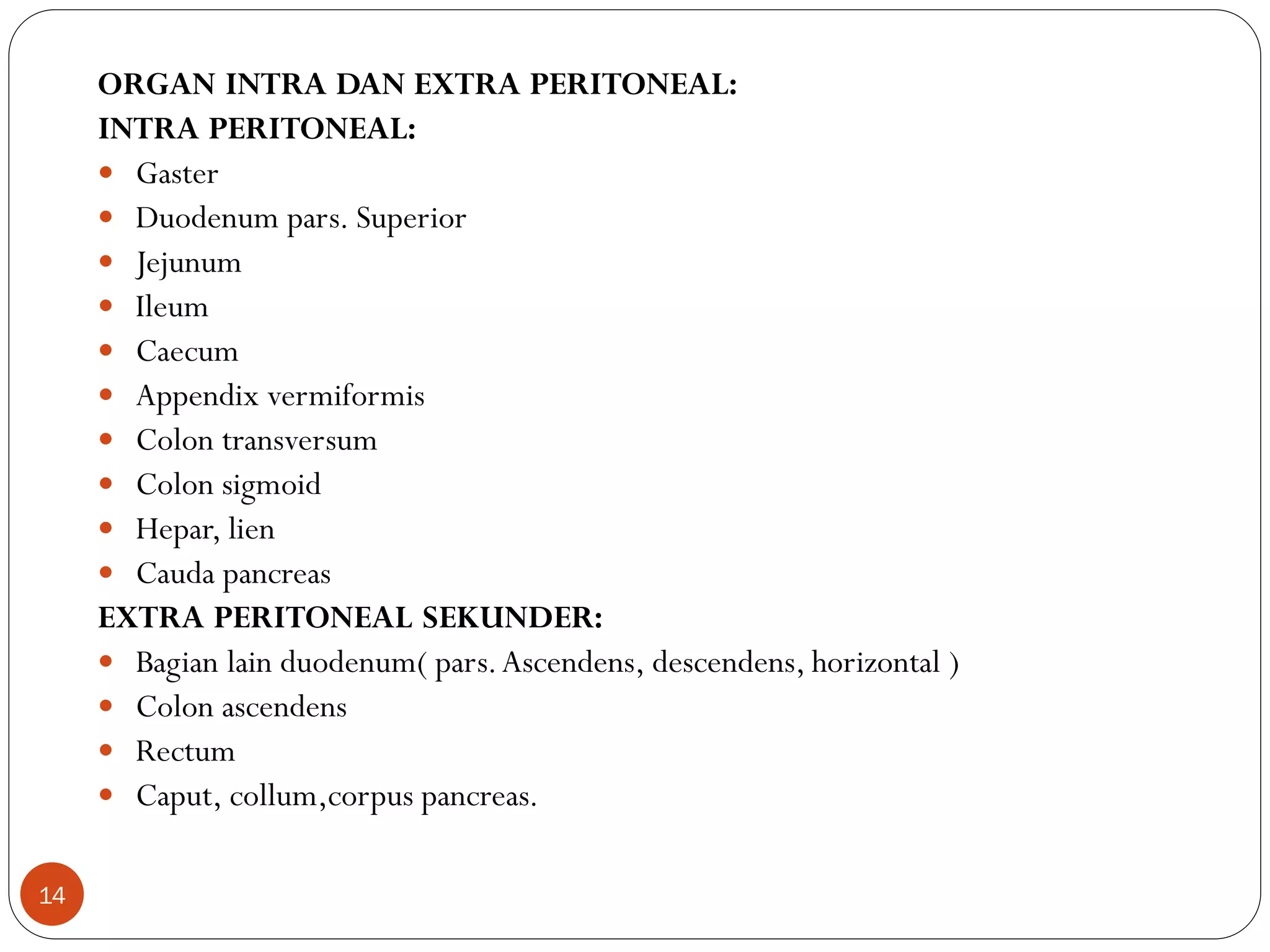 ANATOMI saluran cerna_0.pdf